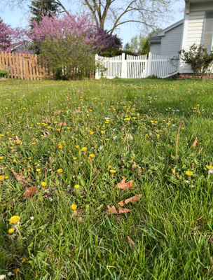 WEISS LAWN CARE - Updated January 2026 - 119 Photos & 157 Real Reviews ...