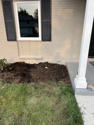 Root Busters - Updated January 2026 - 110 Photos - 26 Reviews - 121 ...