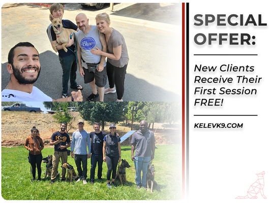 KELEV K-9 - Updated June 2025 - 224 Photos & 31 Reviews - San Fernando ...