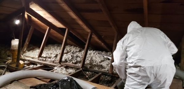 PUGET SOUND ABATEMENT - Updated September 2025 - 15 Photos & 27 Reviews ...