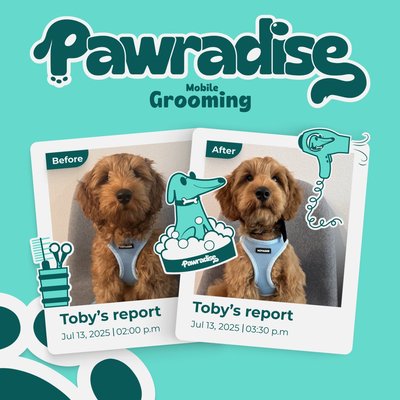 PAWRADISE MOBILE GROOMING - Updated June 2026 - 346 Photos & 154 ...