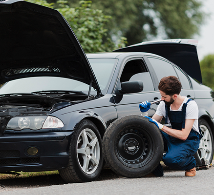 SOUTH EASTERN ROADSIDE - 3707 Scott Futrell Dr, Charlotte, North ...