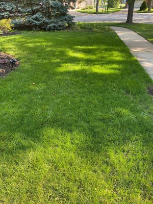 WEISS LAWN CARE - Updated January 2026 - 119 Photos & 157 Real Reviews ...