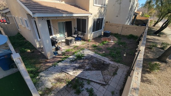 ALBERT’S LANDSCAPING - Updated January 2026 - 181 Photos & 51 Reviews ...