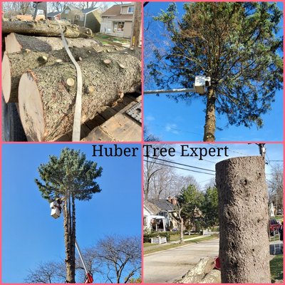 HUBER TREE EXPERT - Updated December 2025 - 114 Photos & 33 Reviews ...