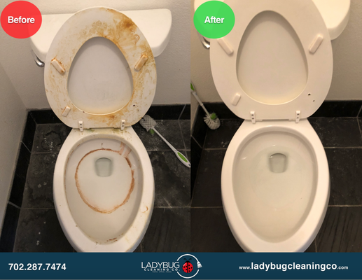 LADYBUG CLEANING - Updated August 2025 - 188 Photos & 183 Reviews ...