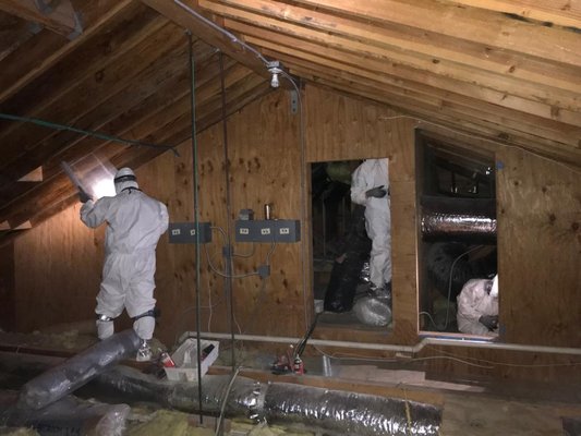 RODENT SOLUTION - Updated May 2026 - 56 Photos & 45 Reviews - Los ...