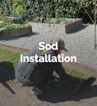 URBAN ROOTS LANDSCAPING - Updated December 2025 - 61 Photos & 16 ...