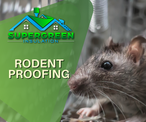 SUPER GREEN INSULATION - Updated September 2025 - 74 Photos - 701 Tillery St, Austin, Texas ...