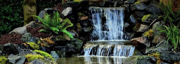 AFFORDABLE PONDS - Updated September 2024 - 19 Photos - 1317 Edgewater ...