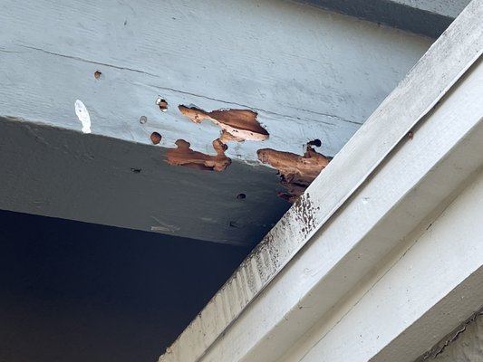 THE TERMITE GUY - Updated October 2025 - 21 Photos & 67 Reviews - 3529 ...