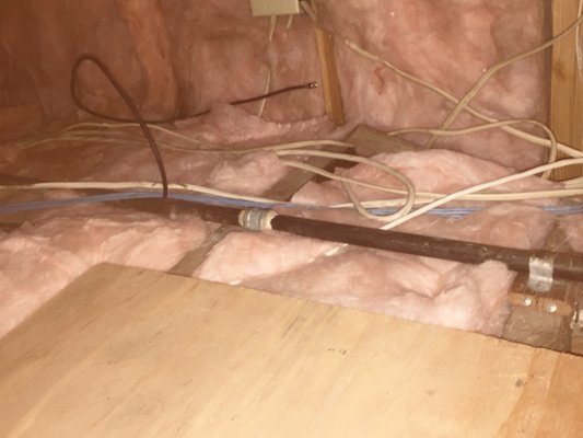 ASAP RODENT EXCLUSION PRO - Updated December 2025 - 182 Photos & 107 ...