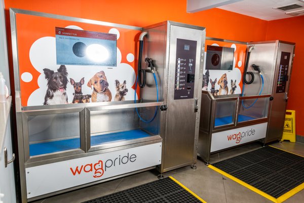 WAGPRIDE DOG GROOMING - Updated July 2024 - 28 Photos & 11 Reviews ...