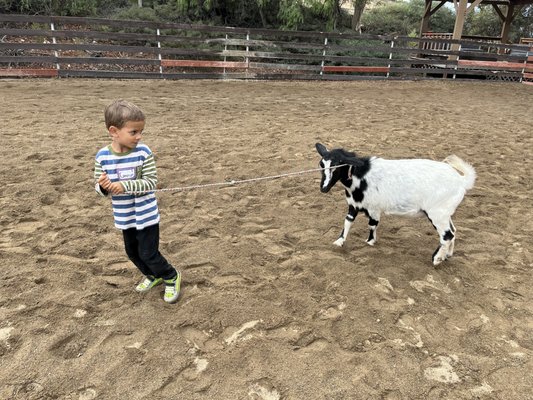 POWAY HORSE PARTY - Updated October 2025 - 62 Photos & 40 Reviews ...