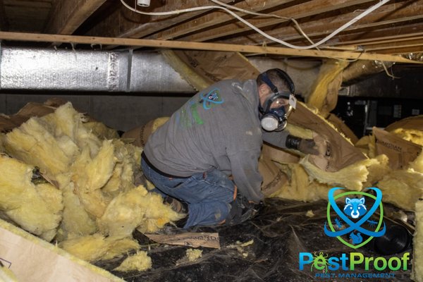 PEST PROOF - Updated December 2025 - 61 Photos & 46 Reviews - 10432 ...