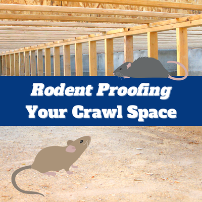 AMERIPEST SOLUTIONS - Updated May 2024 - 11 Photos & 36 Reviews - 18375 ...