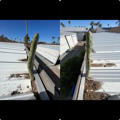 SPOTLESS WINDOW SQUAD - Updated February 2025 - 24 Photos & 21 Reviews - 8776 E Shea Blvd ...