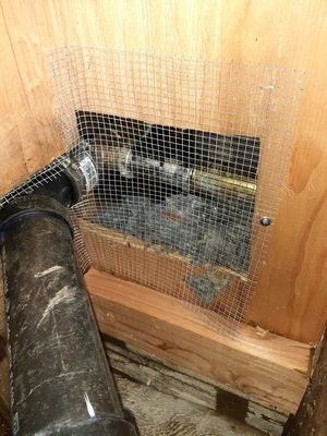 ASAP RODENT SOLUTIONS - Updated October 2025 - 154 Photos & 149 Reviews ...