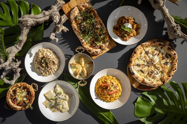 THE DECK AT ISLAND GARDENS - Updated August 2024 - 760 Photos & 445 ...