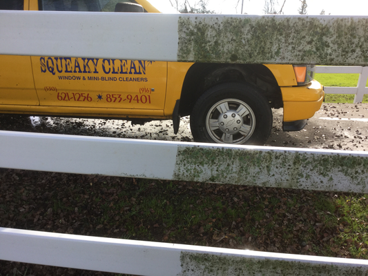 SQUEAKY CLEAN - Updated December 2025 - 188 Photos & 152 Reviews - 6403 ...