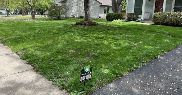 WEISS LAWN CARE - Updated January 2026 - 119 Photos & 157 Real Reviews ...