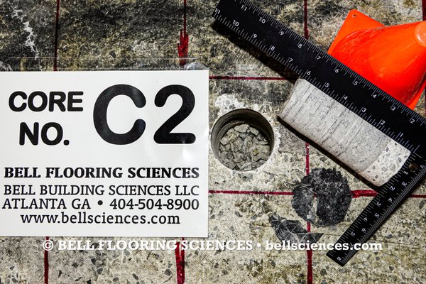 FLOORSCIENCES COMMERCIAL & INDUSTRIAL INSPECTIONS & TESTING - Updated ...