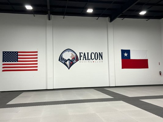 FALCON BOXING - Updated May 2025 - 7265 NW 74th St, Medley, Florida ...
