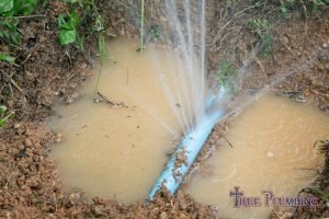 True Plumbing - Updated July 2025 - 27 Photos - 35 Reviews - 185 Lelon ...