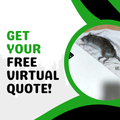 BRIDGEPORT PEST CONTROL - 24 Photos - Chicago, Illinois - Pest Control ...