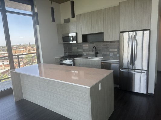 PRO CLEAN SERVICES - Updated August 2025 - 74 Photos - 1627 N Paulina St, Chicago, Illinois ...