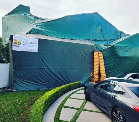 ENCINO’S BEST TERMITE SOLUTIONS - Updated June 2026 - 69 Photos & 71 ...
