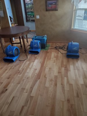 DRYING FORCE - Updated July 2025 - 21 Photos - Lynnwood, Washington ...