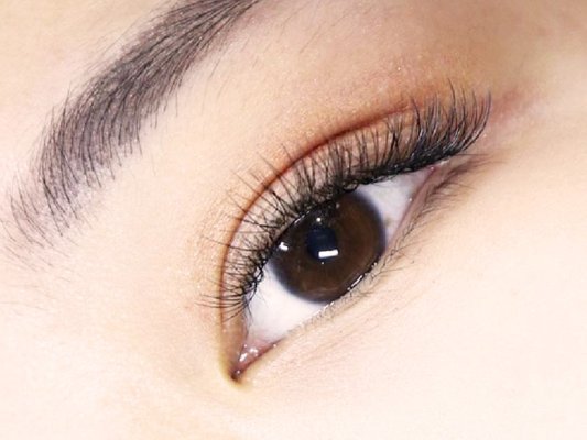 DOLLY EFFECT - Updated October 2025 - 282 Photos & 229 Reviews - 7749 ...