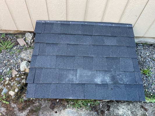 NORTHWEST CRAWL SPACE SERVICES - Updated November 2025 - 27 Photos & 14 ...