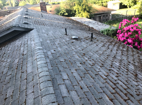 IBEX ROOF - Updated October 2025 - 66 Photos & 52 Reviews - 5800 NE ...