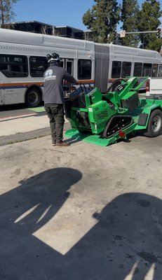 NEW PACIFIC TREES - Updated June 2025 - 14 Photos - Colton, California ...