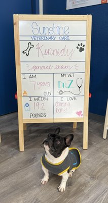 SUNSHINE VETERINARY CARE - Updated December 2025 - 53 Photos & 53 ...