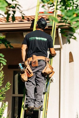 PRO ACTIVE PEST CONTROL - Updated January 2026 - 31 Photos & 218 ...