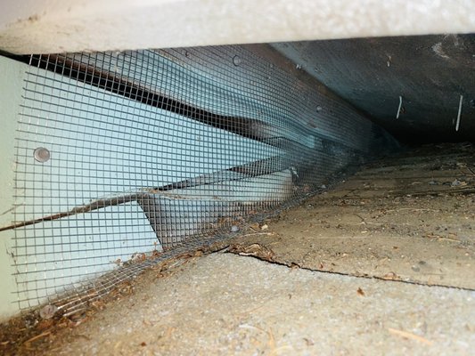 CAMPBELL NATURAL PEST CONTROL - Updated January 2026 - 33 Photos & 96 ...