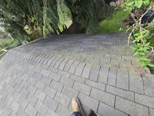 GIANT SLAYER ROOFING - Updated September 2025 - 3214 96th St S ...