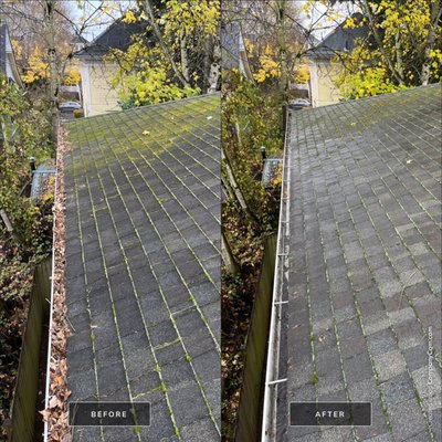 MOSS BUSTERS - Updated December 2025 - 65 Photos & 236 Reviews - 10367 ...