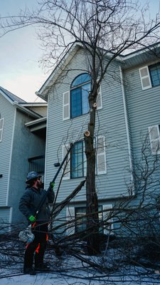 ALL SEASONS TREE SERVICE - Updated April 2026 - 50 Photos & 19 Reviews ...
