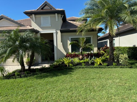 TREE TRUNK LANDSCAPES - Updated July 2025 - 50 Photos - Naples, Florida ...