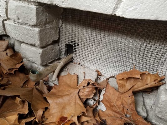 DIRECT HIT PEST CONTROL - Updated December 2025 - 56 Photos & 32 ...