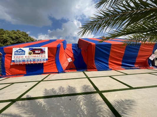 BYE BYE TERMITES PEST CONTROL - Updated January 2026 - 60 Photos & 17 ...