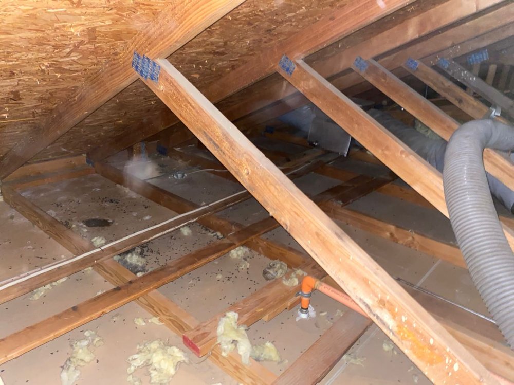 Check out Insulation replacement after a rodent infestation in San ...