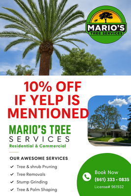 MARIO’S TREE SERVICES - Updated May 2026 - 78 Photos & 25 Reviews ...
