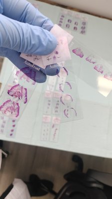 ASAPMOHS - Updated April 2025 - Whittier, California - Laboratory ...