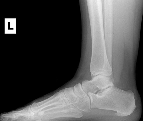 WILSON IMAGING - Updated October 2025 - 14 Photos & 10 Reviews - 222 ...