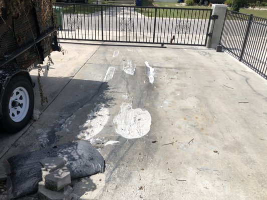 GREENPOINT WINDOWS - 23 Photos - Tampa, Florida - Window Washing ...